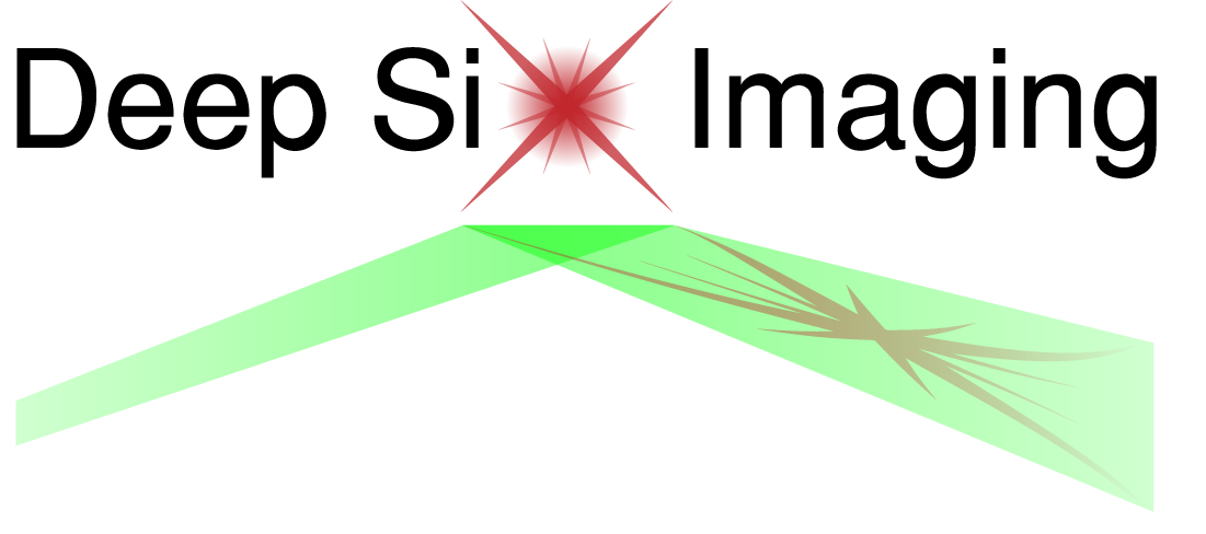 Deep Six Imaging logo -black – Deep Six Imaging